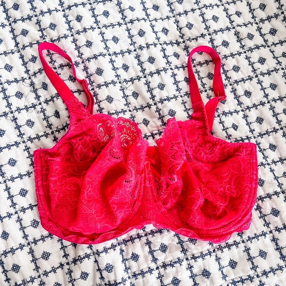 Panache | Intimates & Sleepwear | Vguc Panache Fuchsia Lace Bra 32gg ...